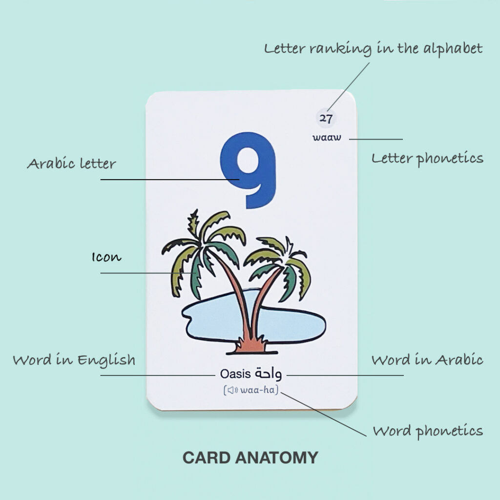 UAE Arabic Alphabet Special Bundle - Halo Printworks